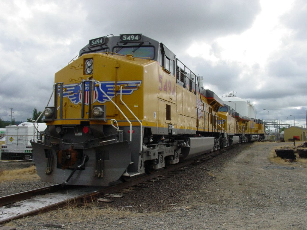 Shinny "Yellow Stripe" GEVO's UP 5494